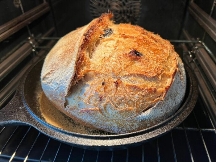 Pan de Olivas de Alfons Calvo - El Amasadero